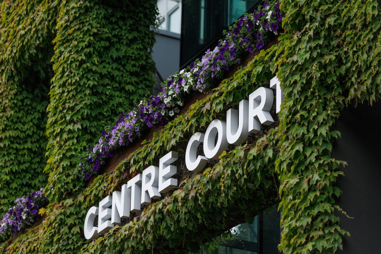 Wimbledon Championships - Maynard Design