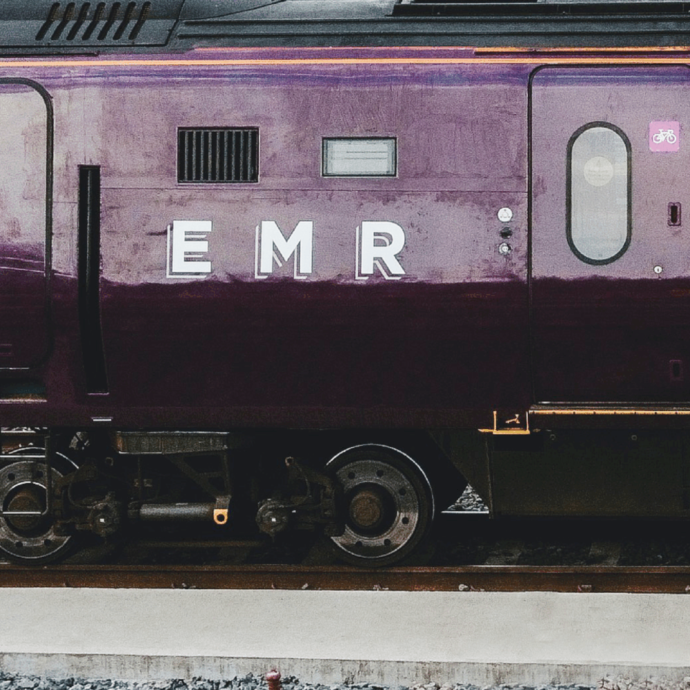 Looking back to look forward: What EMR teaches us about the future of ...